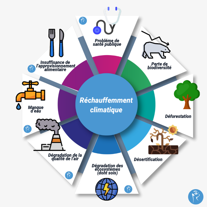 Meersens Impact Du R chauffement Climatique Sur La Sant Meersens Impact Du R chauffement Climatique Sur La Sant